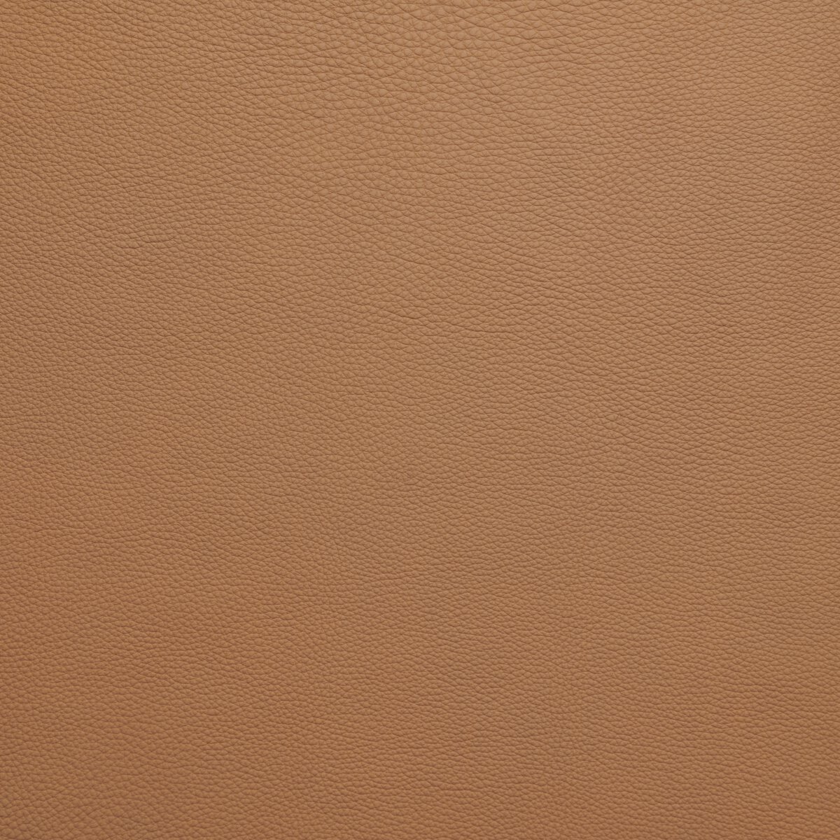 ECCO Leather